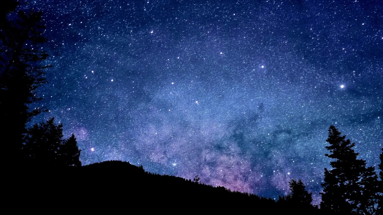 Traueranzeigen von Wilfried Langer | Trauer.HNA.de